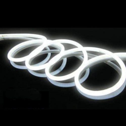 Neon Flex | González Transformación